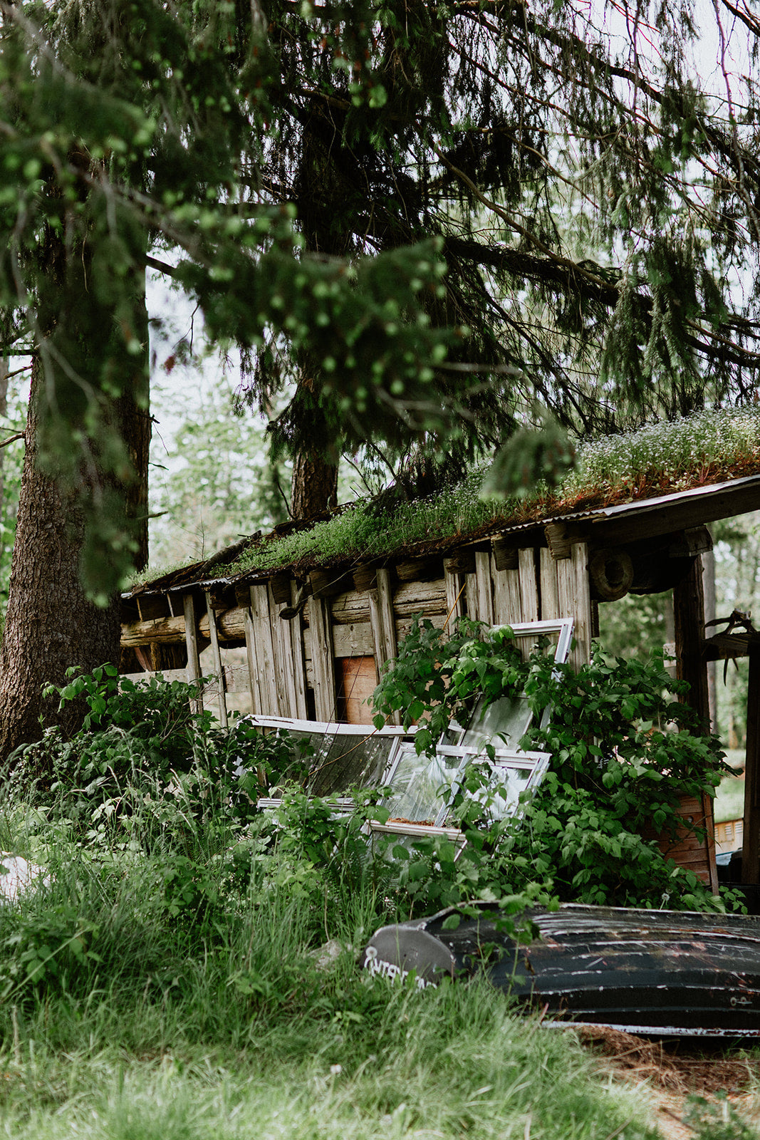 Accessories – Standing Spruce