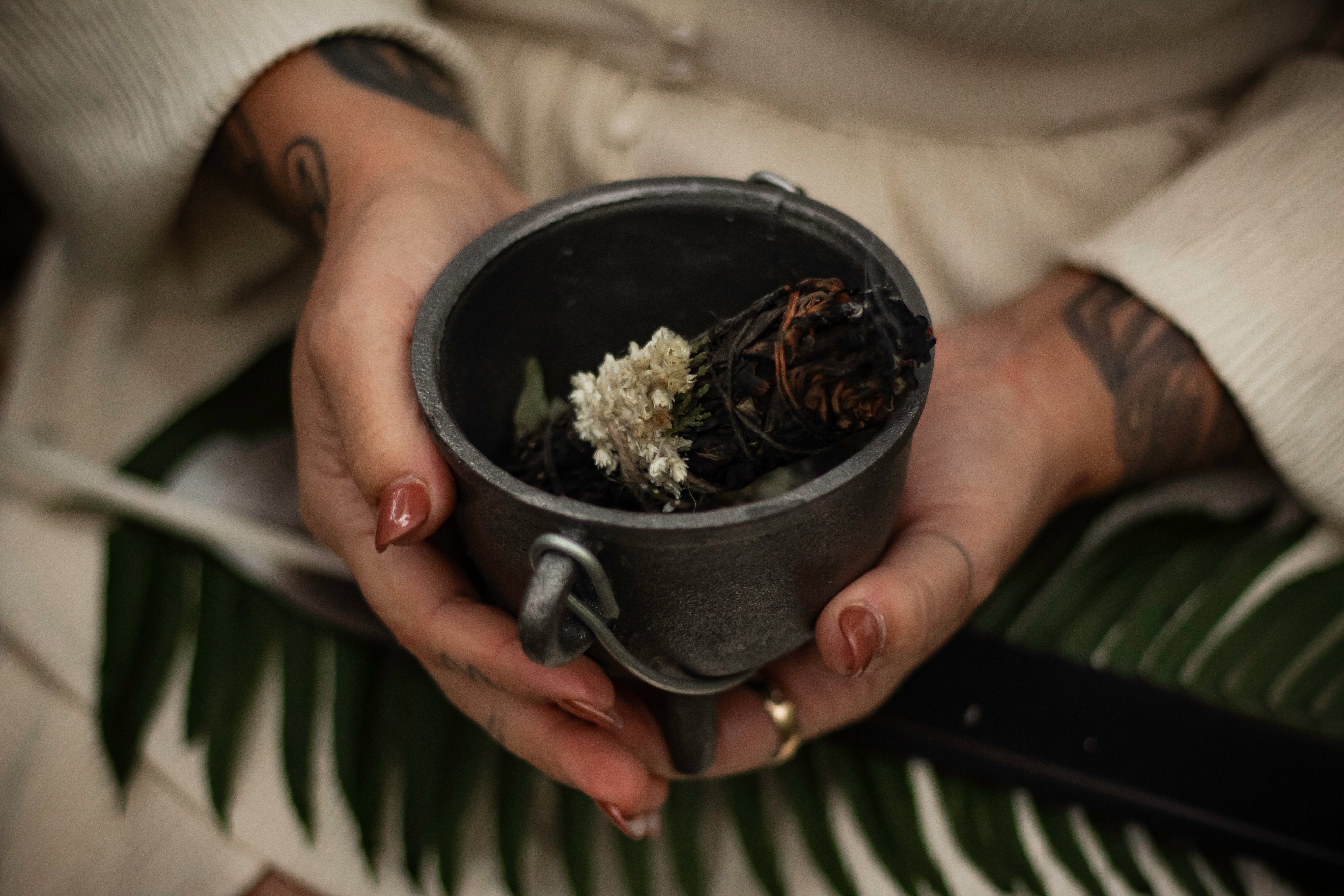 See What's New – Standing Spruce