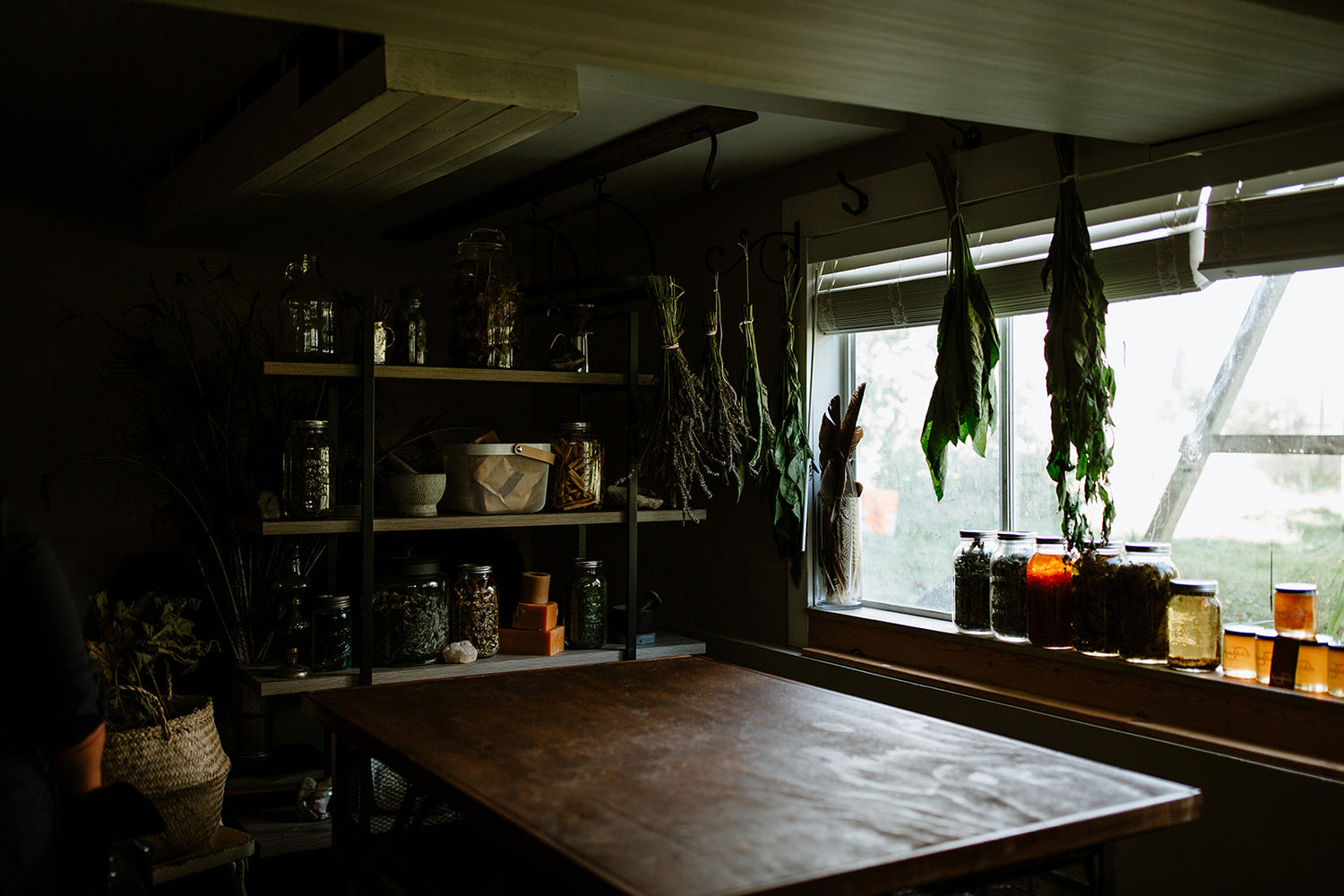 About – Standing Spruce