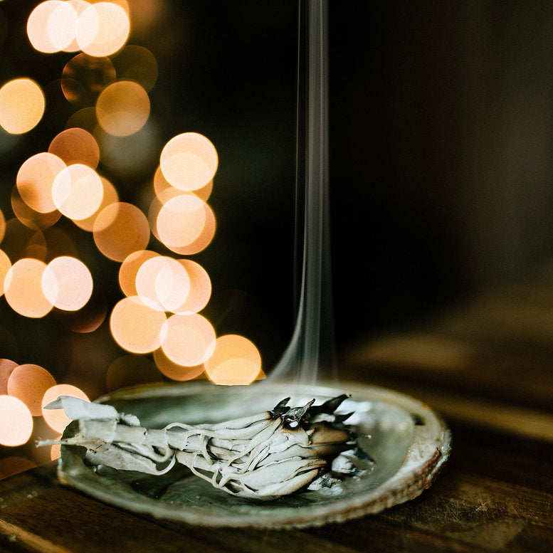 Abalone Smudge bowl with white sage sprig – Standing Spruce