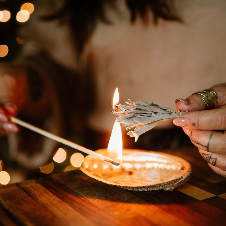 Products – Standing Spruce