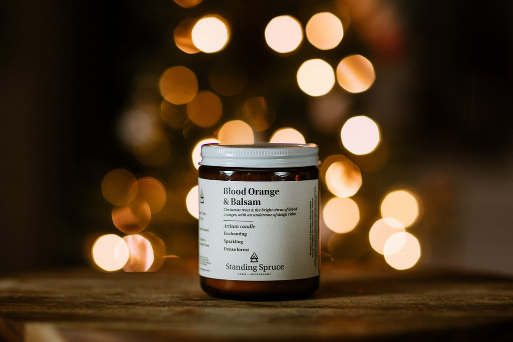 Blood Orange & Balsam Soy Candle – Standing Spruce