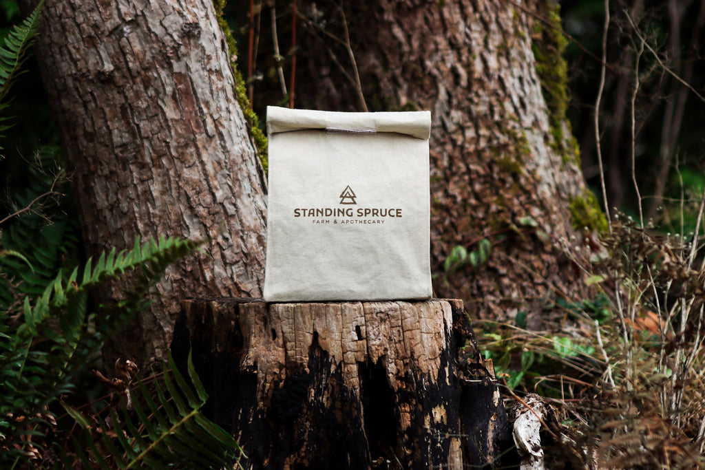 Cosmetic travel bag – Standing Spruce