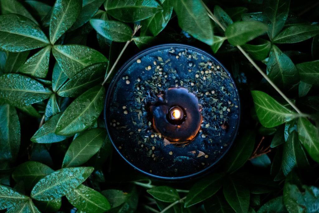 Maleficia Banish & Hex – Standing Spruce