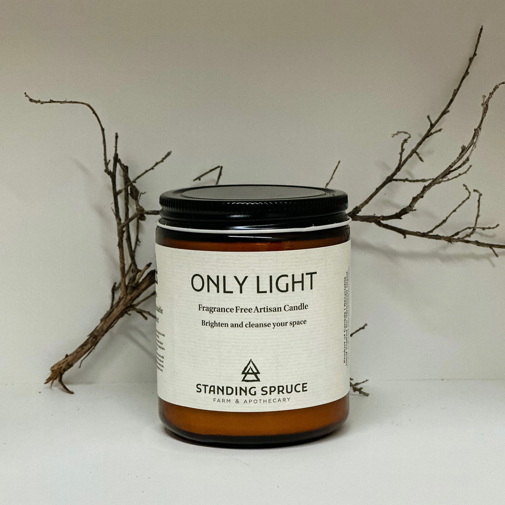 Only Light – Standing Spruce